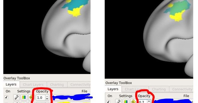 MVPA Meanderings: overlaying in Connectome Workbench 1.4.2