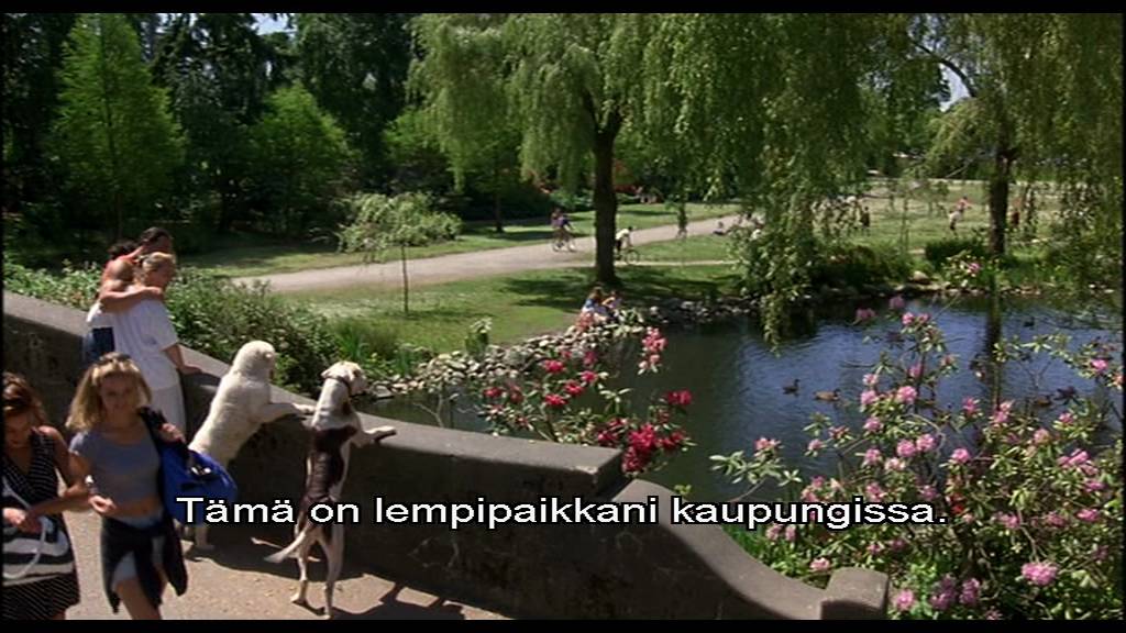 Elokuvahömppää: Homeward Bound II: Lost in San Francisco