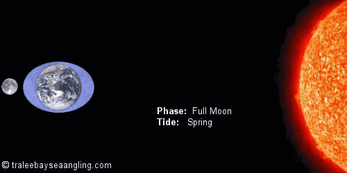 RockenRyan: Waves and tides are awesome!