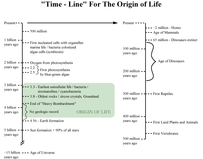 Journal of biocell student