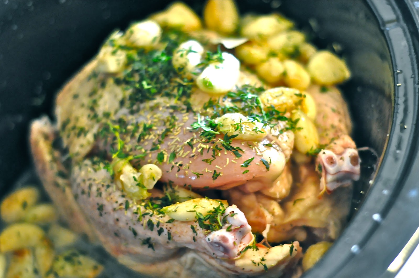 Ashley's Cooking Adventures: 40 Garlic Clove Chicken