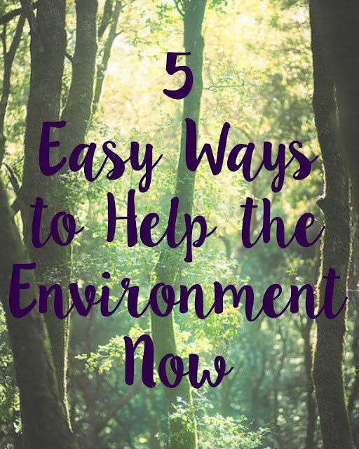 5 Easy Ways to Help the Environment Now - Strictly Kendra