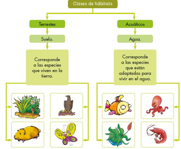CIENCIAS NATURALES: CLASES DE HABITAD