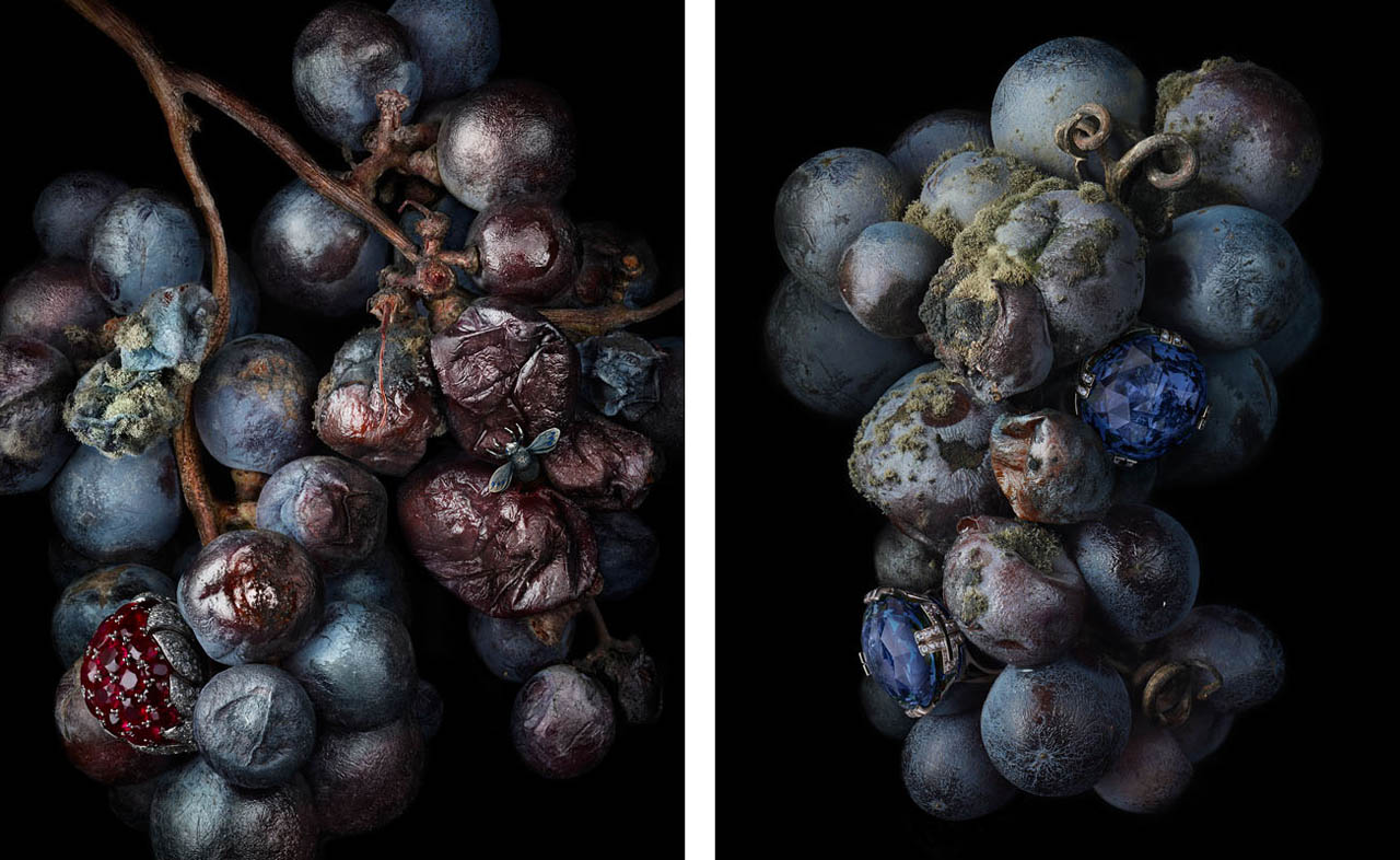 Trayler & Trayler: Another beautiful campaign by Peter Lippmann...