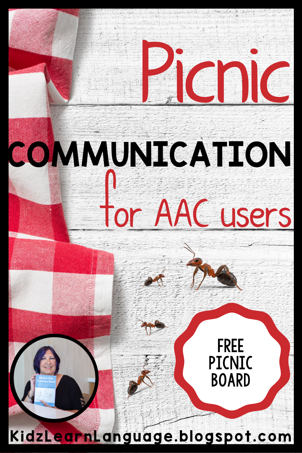 Life's a Picnic......and Check it Out! | Kidz Learn Language