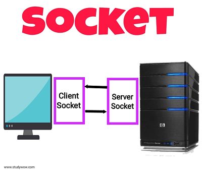 Socket in Java Programming | Types of Socket :Studywow - Study WoW