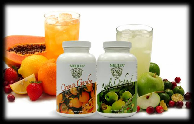 WAFI MELILEA: LIST AND PRICE OF PRODUCTS