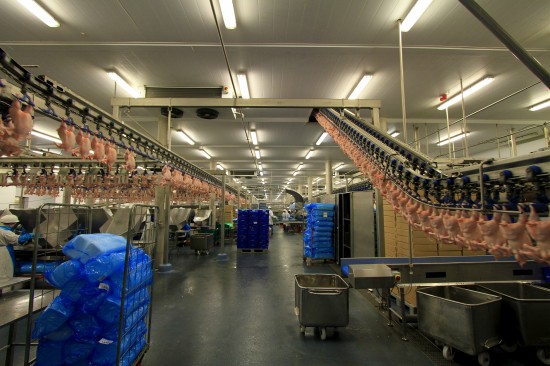 FMCG products 100-cr chicken processing unit in Telangana State