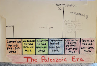 Learning About Geologic History- The Paleozoic Era