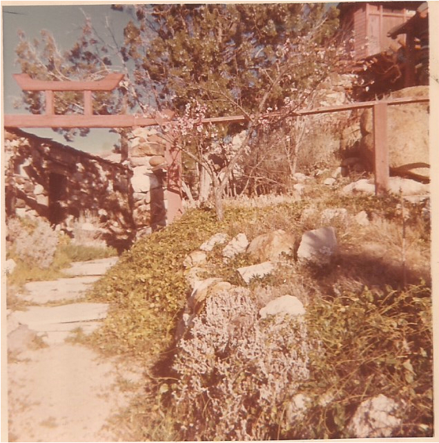 wacky tacky: The Mysterious Chinese Castle of Jacumba: Episode II ...