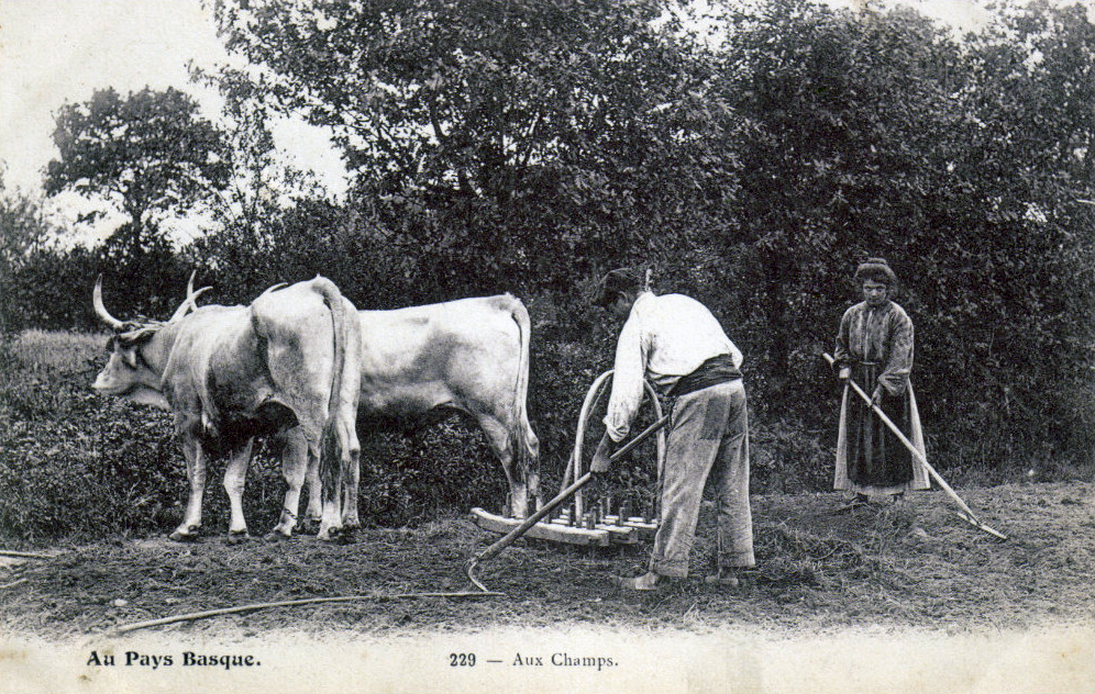 L'agriculture au Pays basque