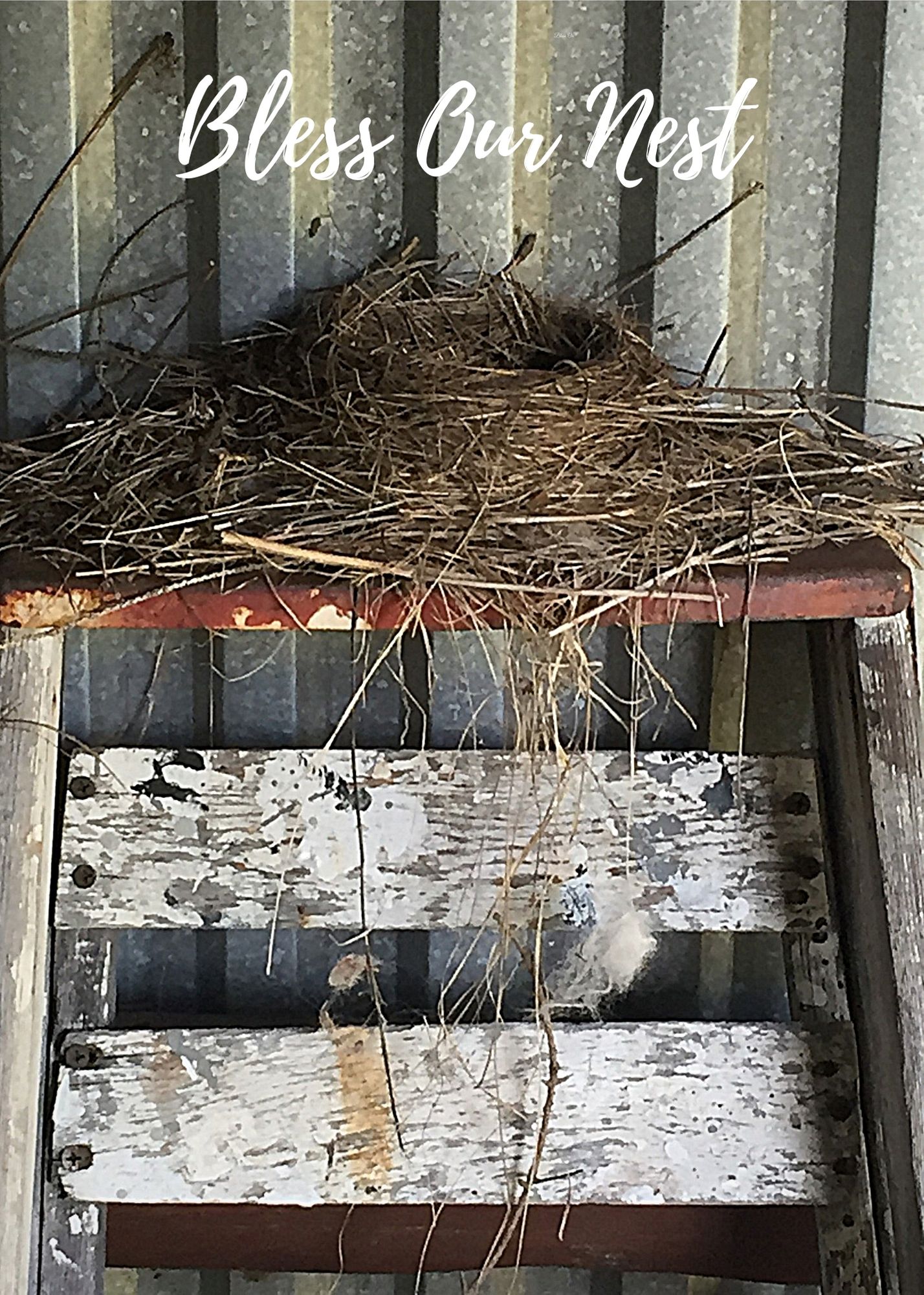 Free Photo - Bless Our Nest - RKO Ideas Galore by Karen