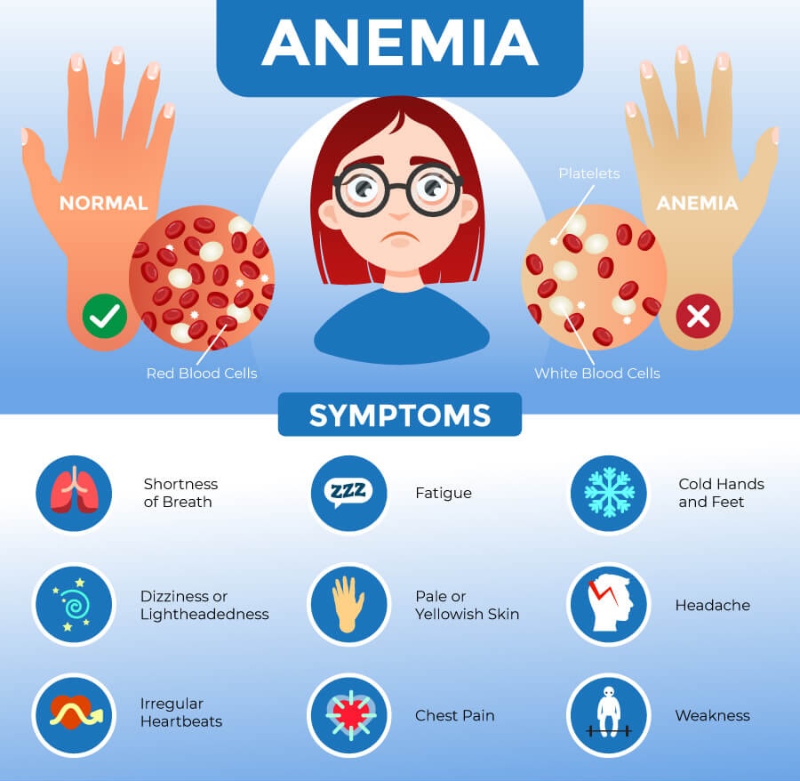 mark tozer's blog: EMS Pathophysiology - Anemia