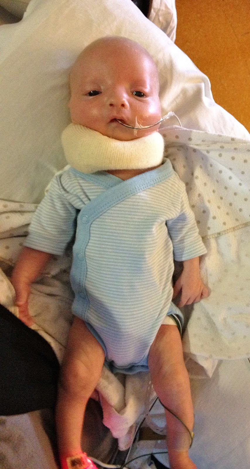 Open Crib In Nicu at Heather Kushner blog