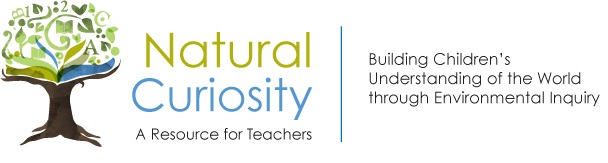 On Display: Natural Curiosity | Transforming our Learning Environment ...