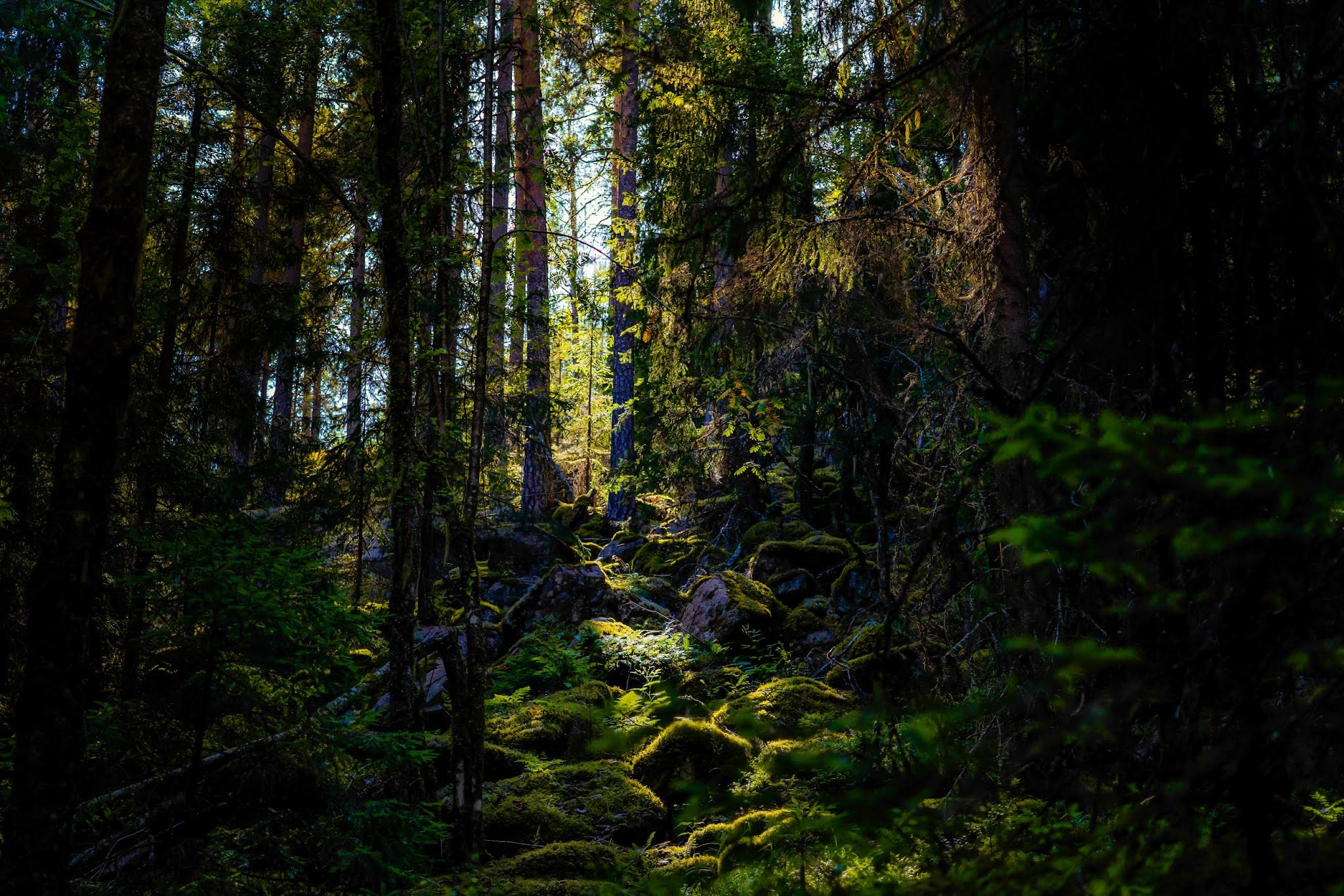 Sunnebloggen: Why Sweden and why Sunne