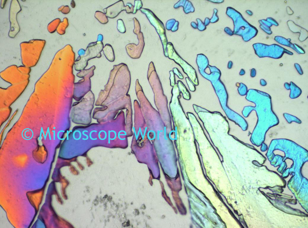 Microscope World Blog: Sugar under a Polarizing Microscope