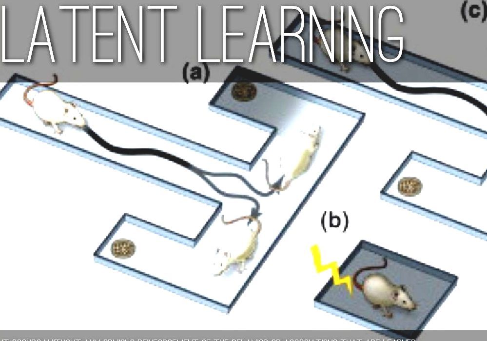 Latent Learning Latent Learning