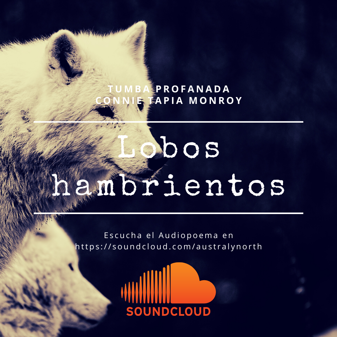 EN EL DESIERTO DEL SIROCO