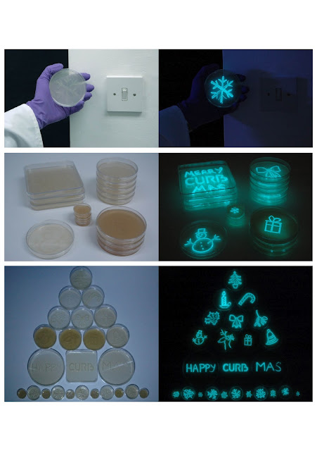 biomimicry KTH: Bacteria Design