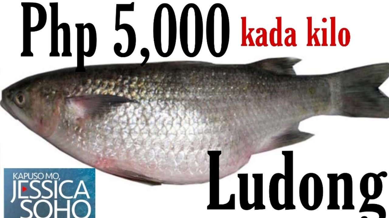 Where the Heck is Marinduque?: March 2021