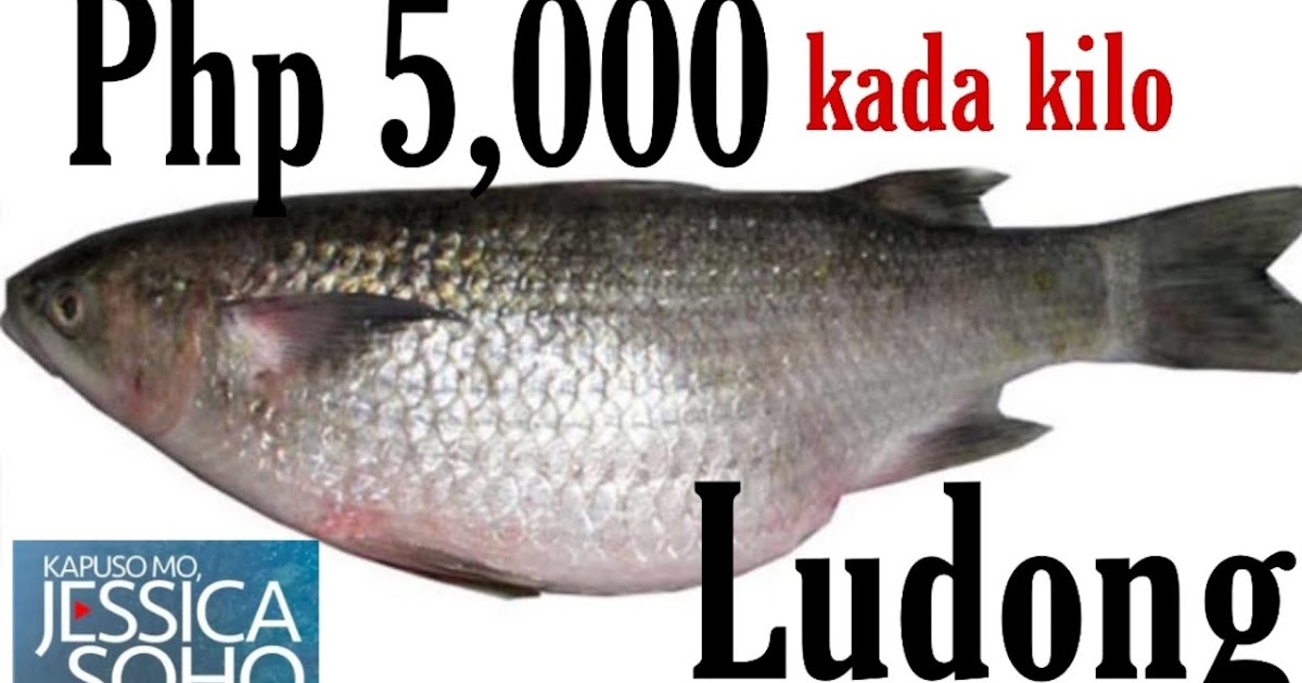 Marinduque - My Island Tropical Paradise: Ludong-The Most Expensive ...