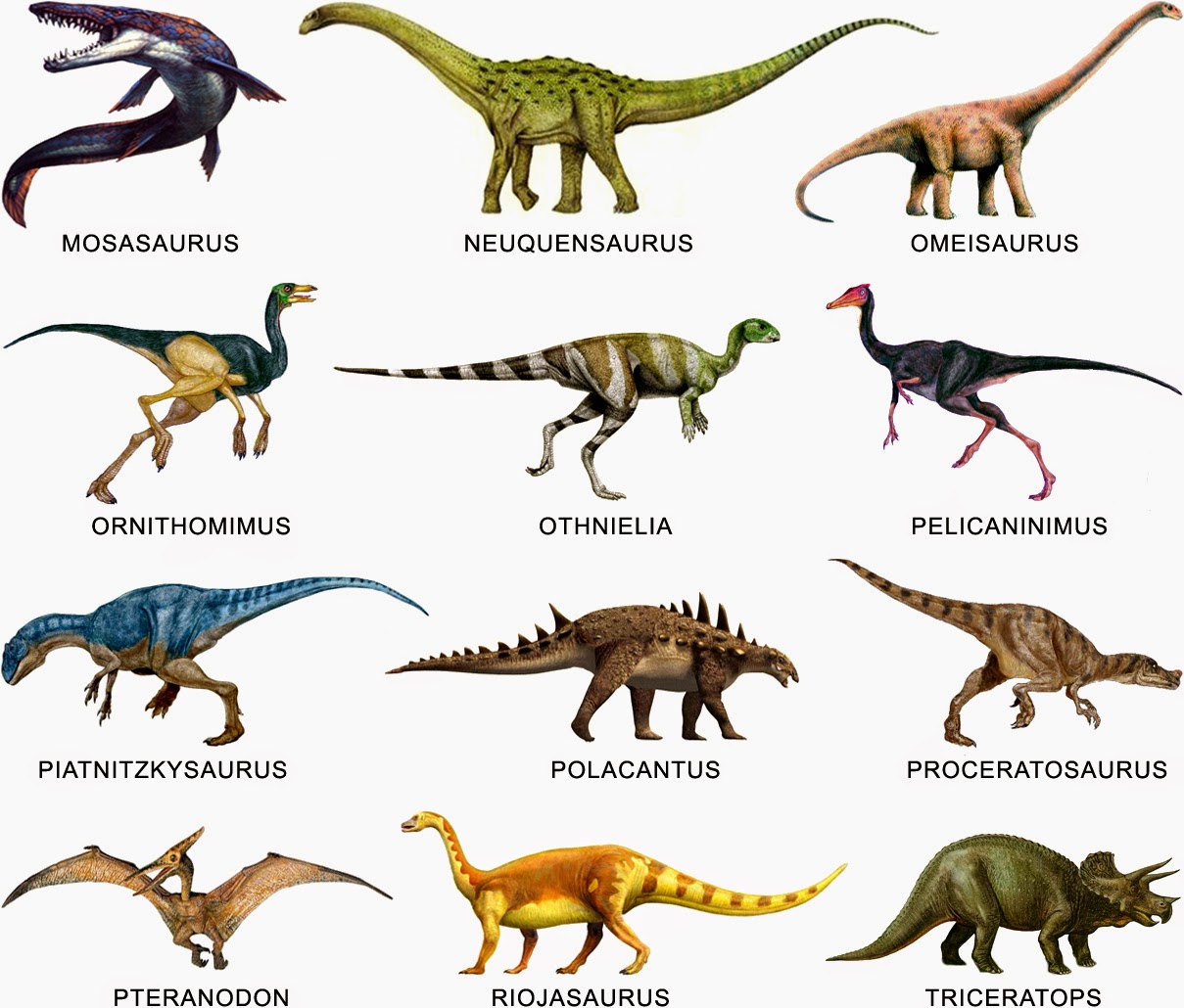 dinosaurios: dinosaurios