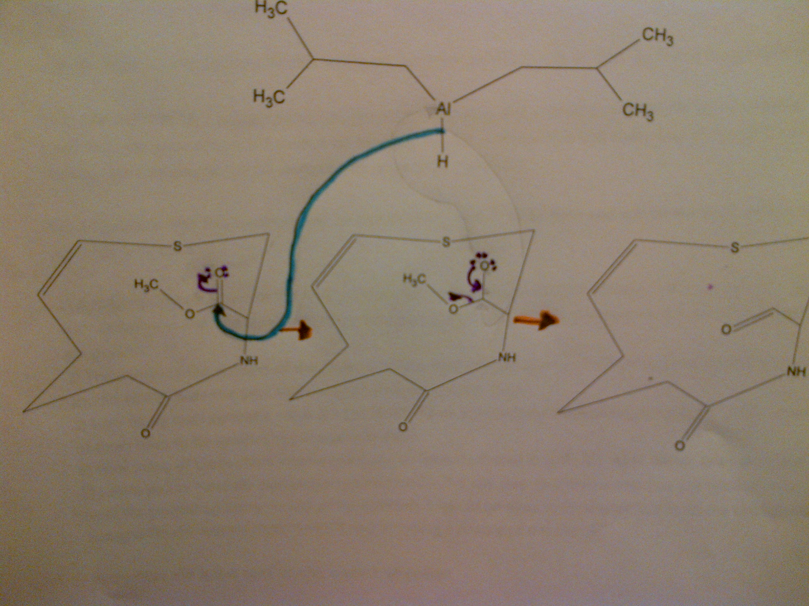 Organic Chemistry Blog: Biotin Synthesis