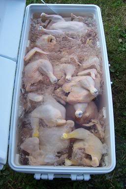 How ToButcher A Chicken: Step 9Clean Up & Chill