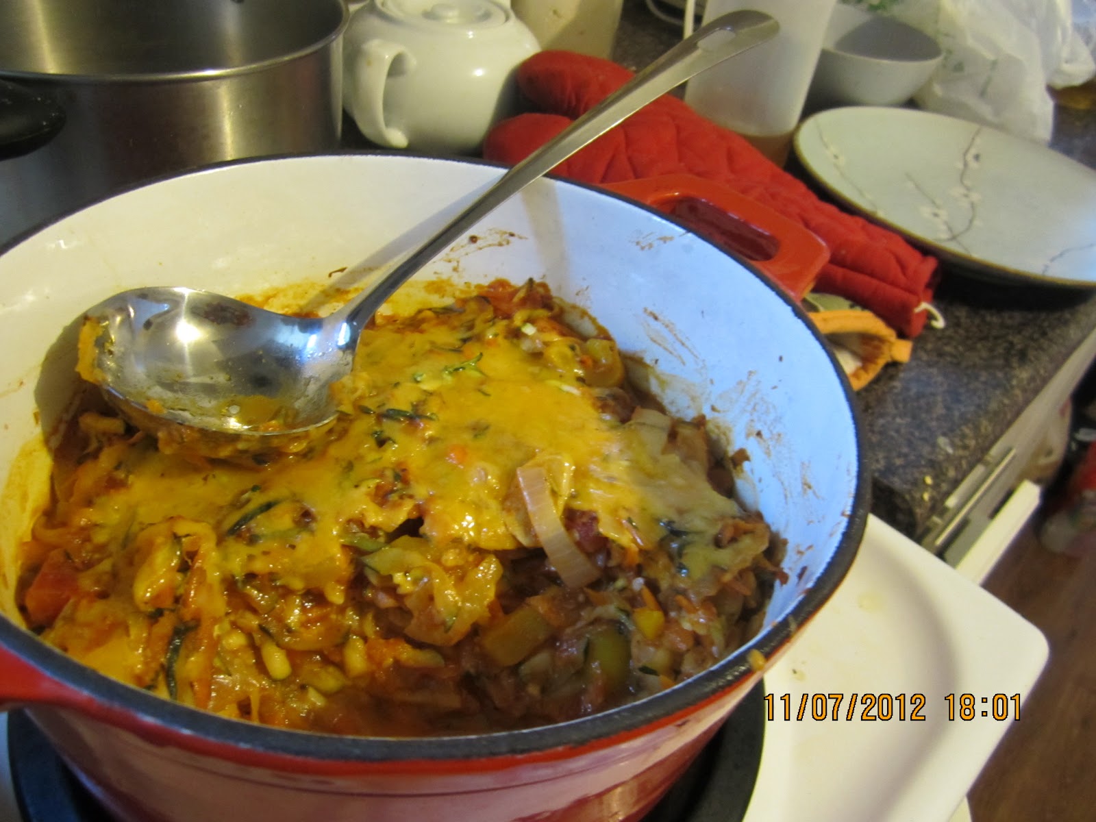 Cooking Adventures on the SCD Diet