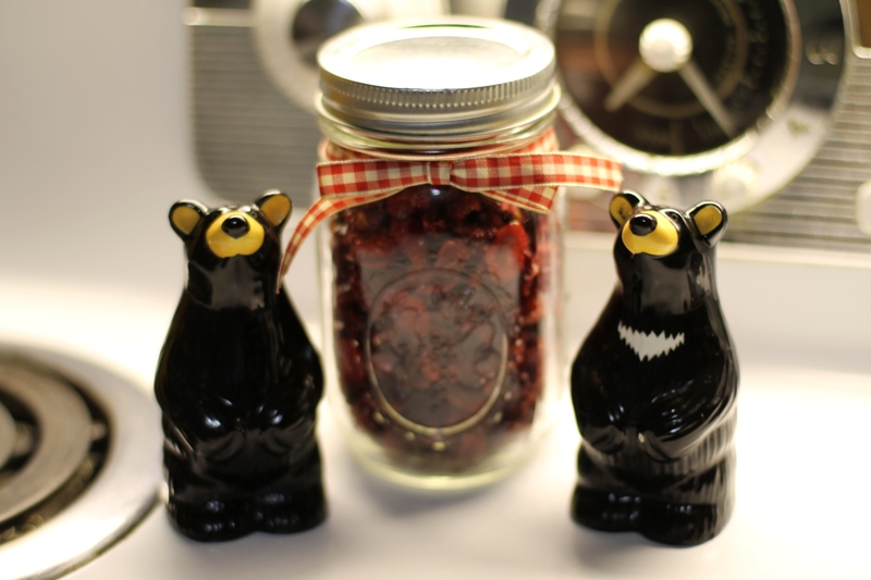 DIY Homemade Craisins | Gypsy Farmgirl