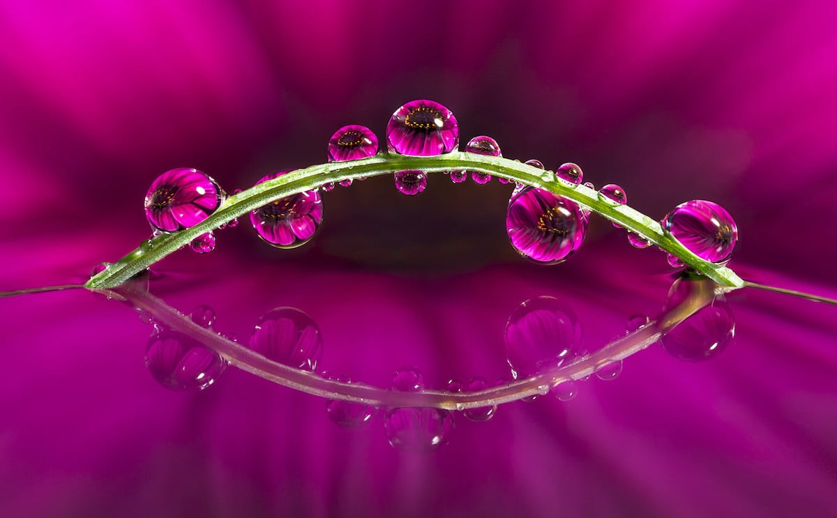 Linda Mooney's Other Worlds of Romance: Macro Photos of Water Droplets ...