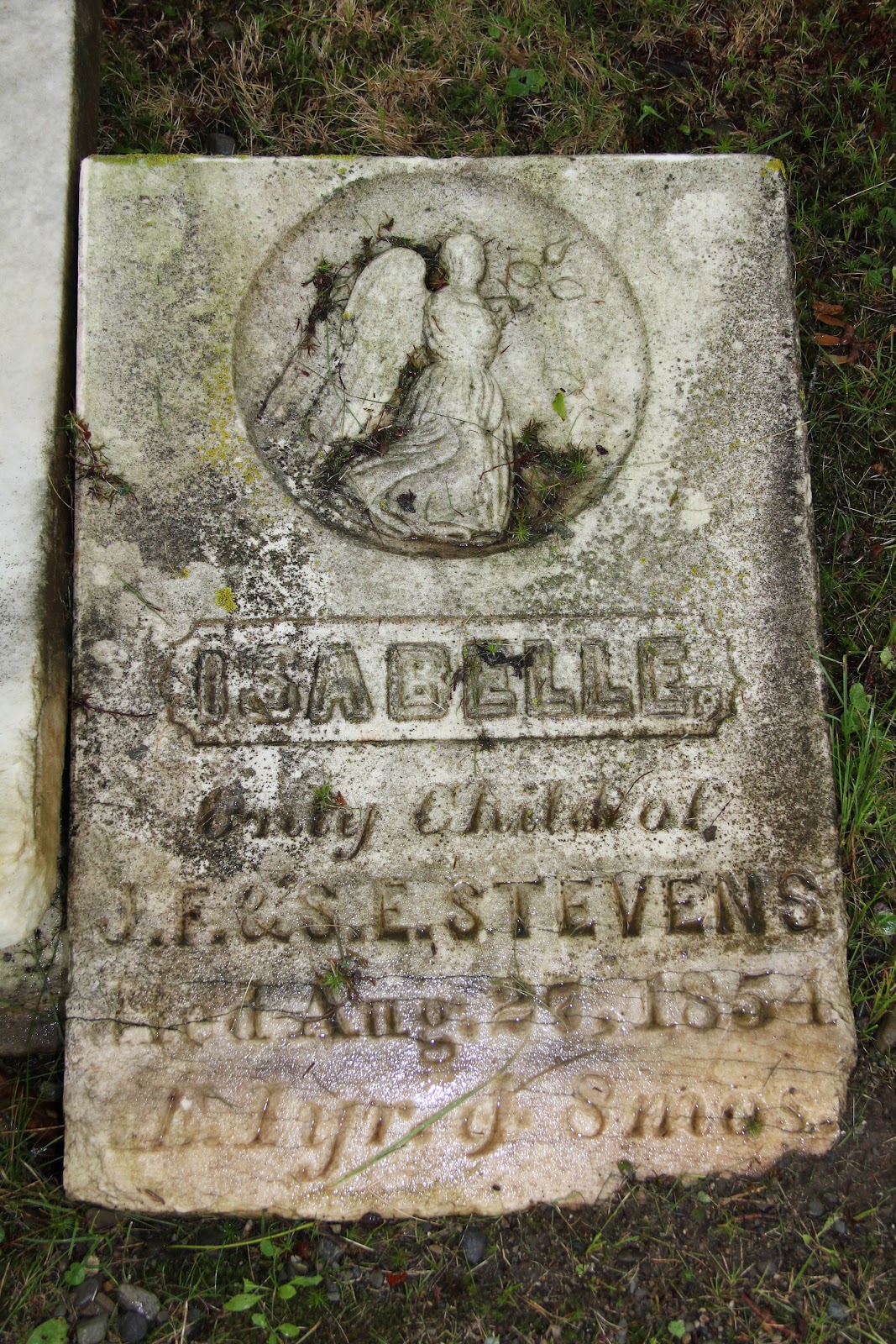 Taphophile Corner: the Rose