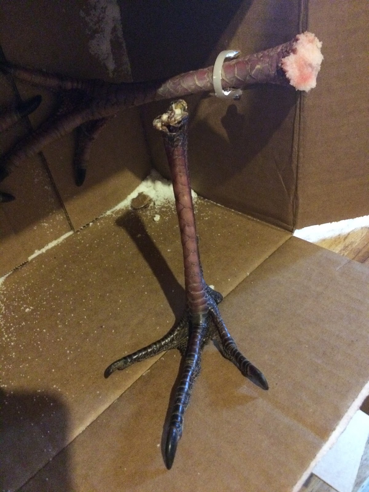 Creepy Quick Tip - Preserving a Turkey Foot for Display