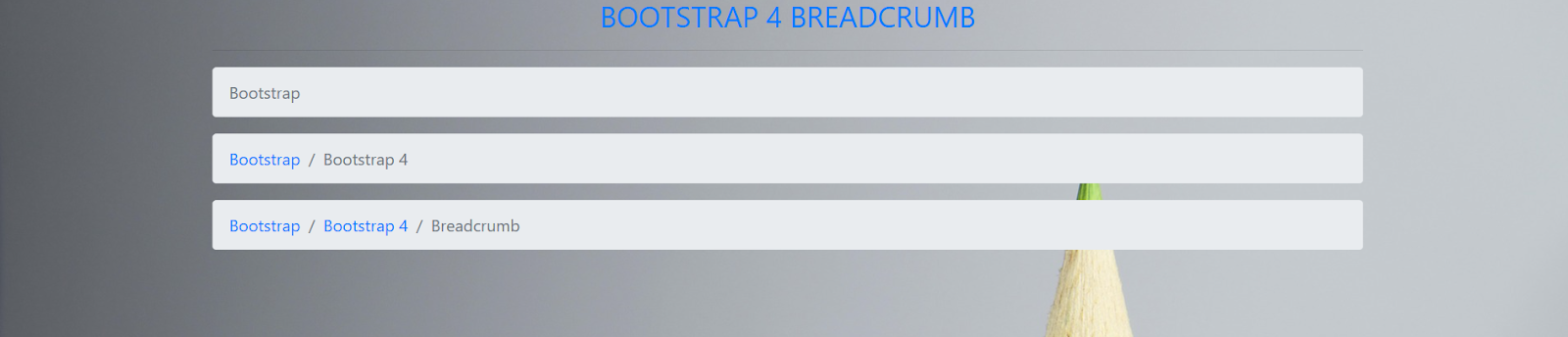 Bootstrap 4 Breadcrumb