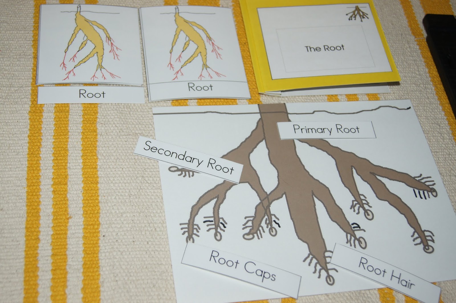 Botany 1 - Montessori Botany Puzzle Cabinet Work - "Making Montessori Ours"