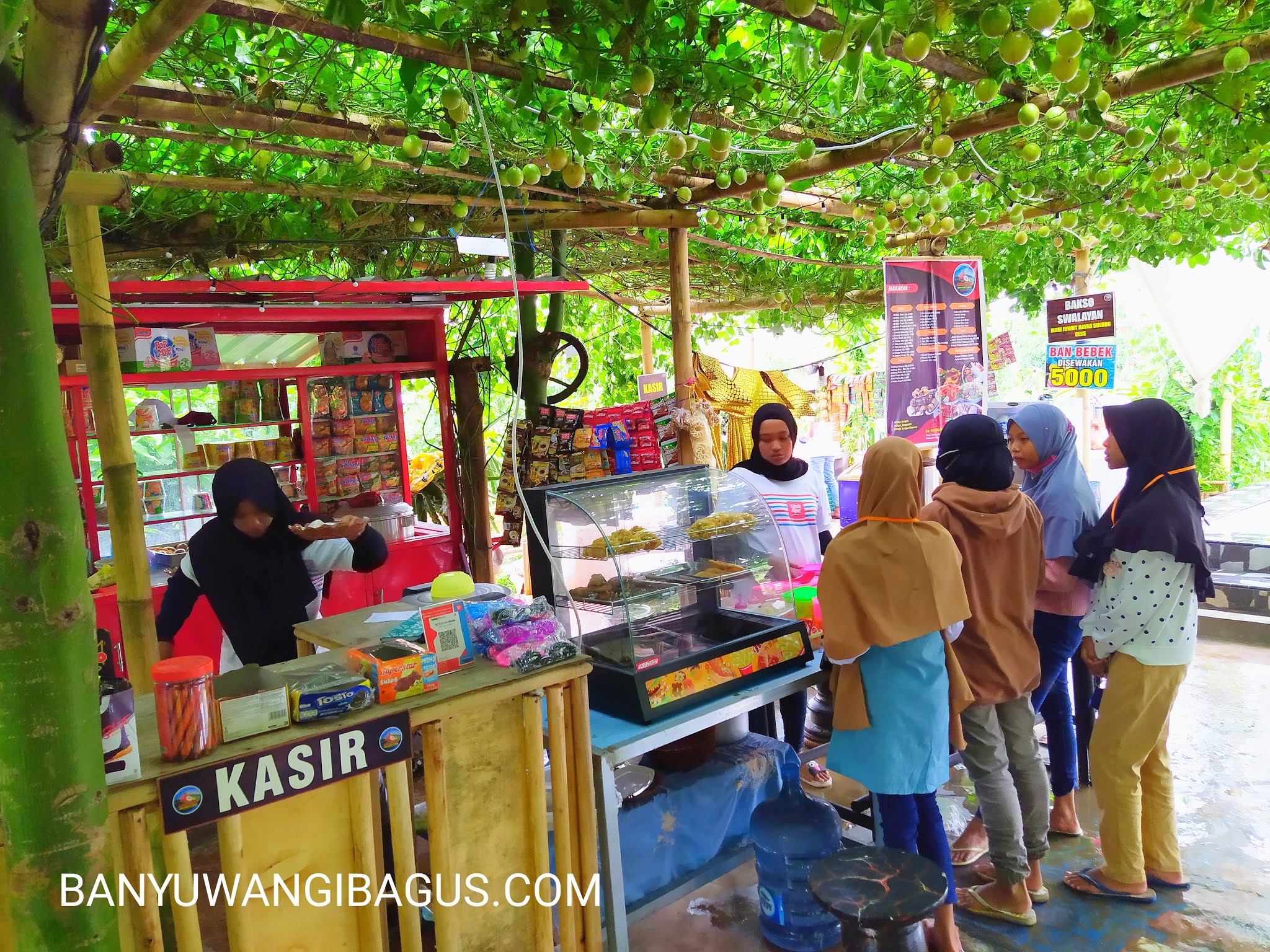 AGROWISATA ASTAGA DRAGON, PENGUNJUNG BISA PETIK BUAH NAGA LANGSUNG DARI ...