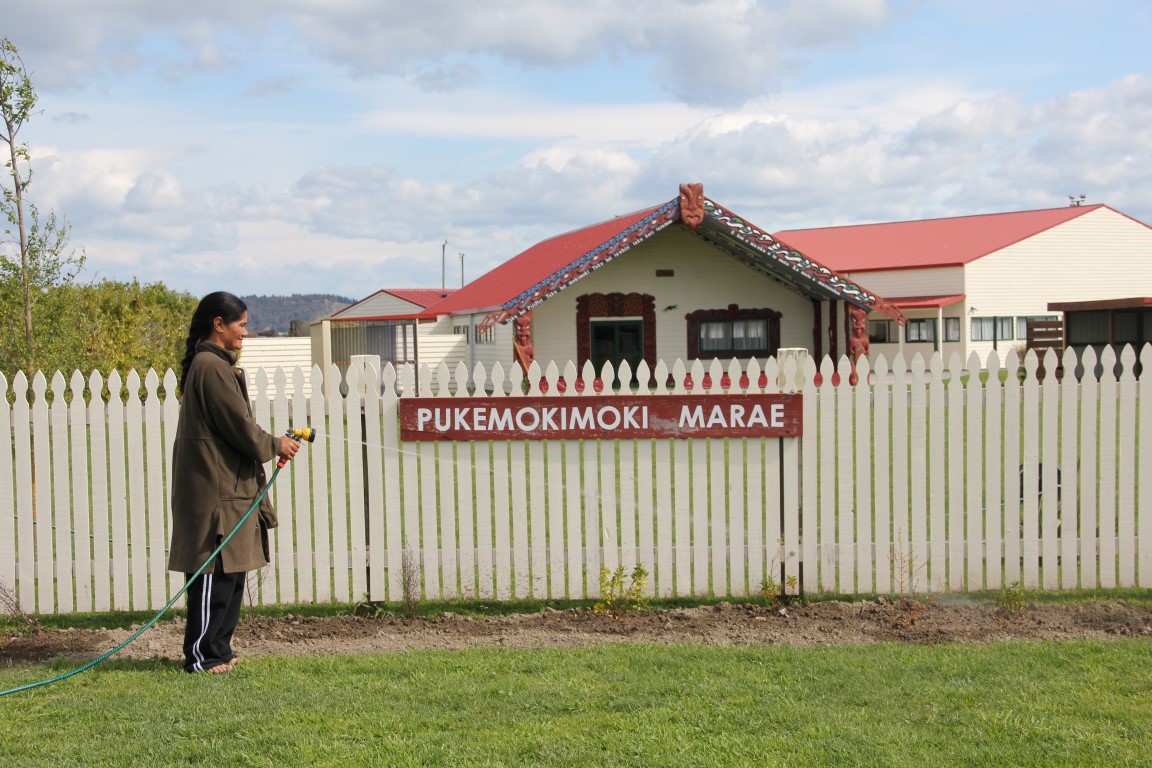 Maxine Boag - Napier City Councillor: The garden at Pukemokimoki marae