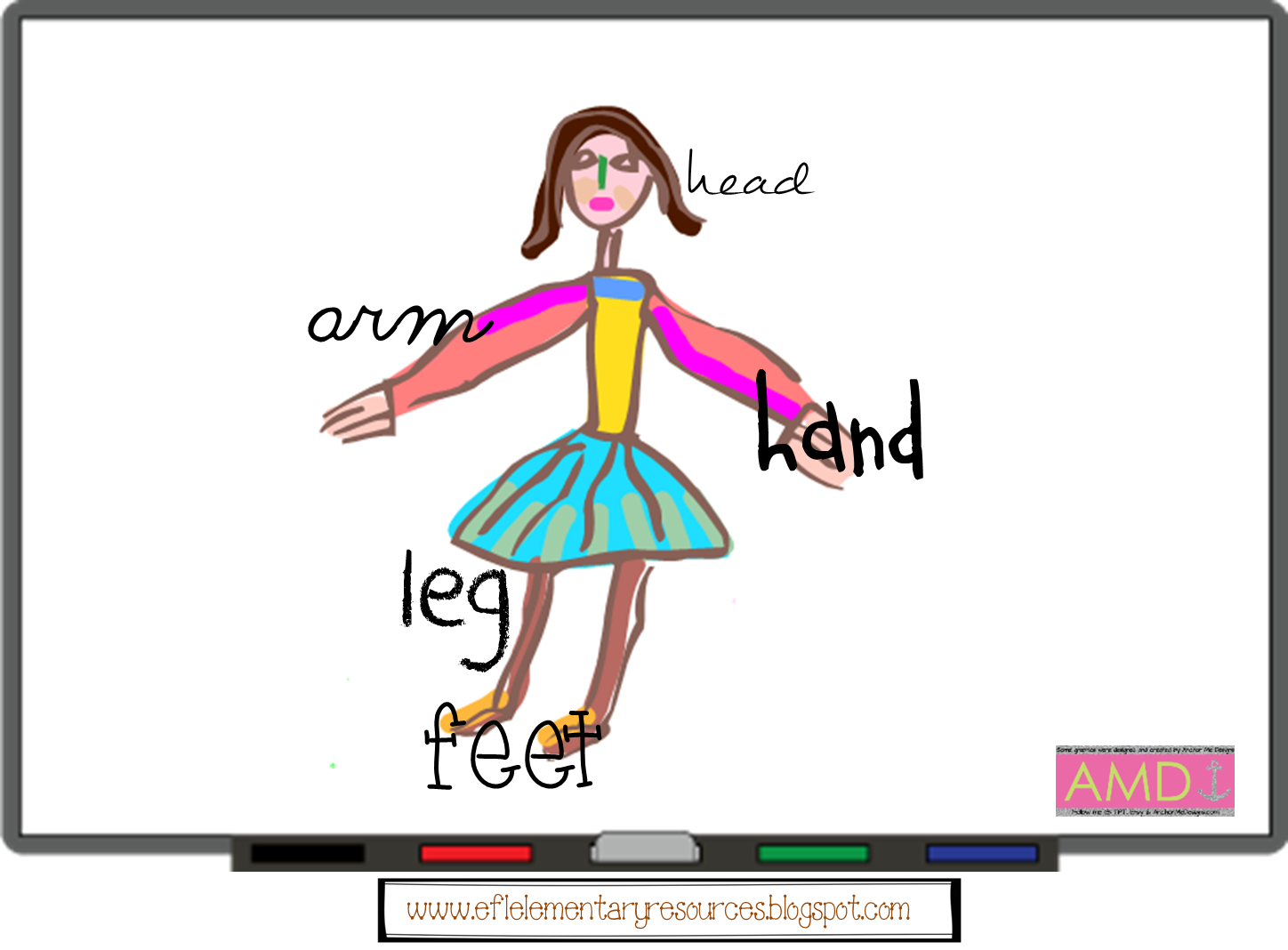 EFL Elementary Teachers: Body Theme for Elementary Language Learners