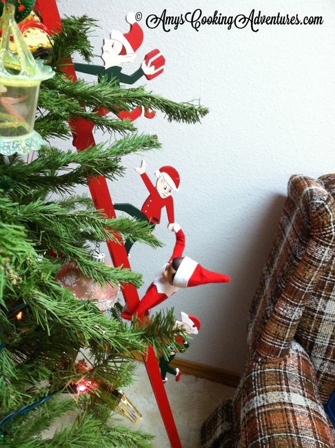 Elfie's Antics: Week Three