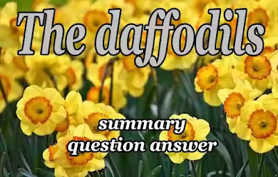 The daffodils poem summary | question answers class 11 AHSEC