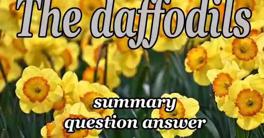 The daffodils poem summary | question answers class 11 AHSEC