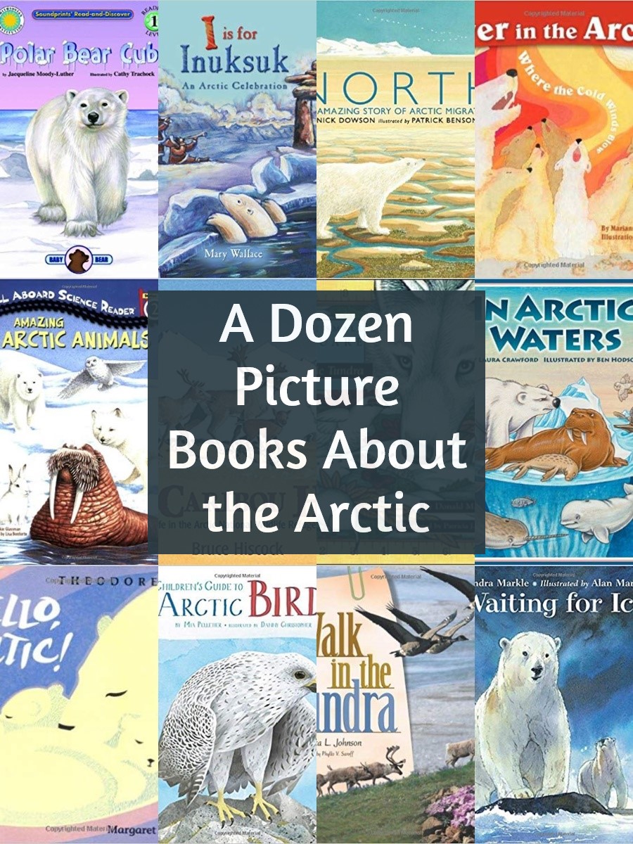 A Dozen Books for Teaching Kids About the Arctic