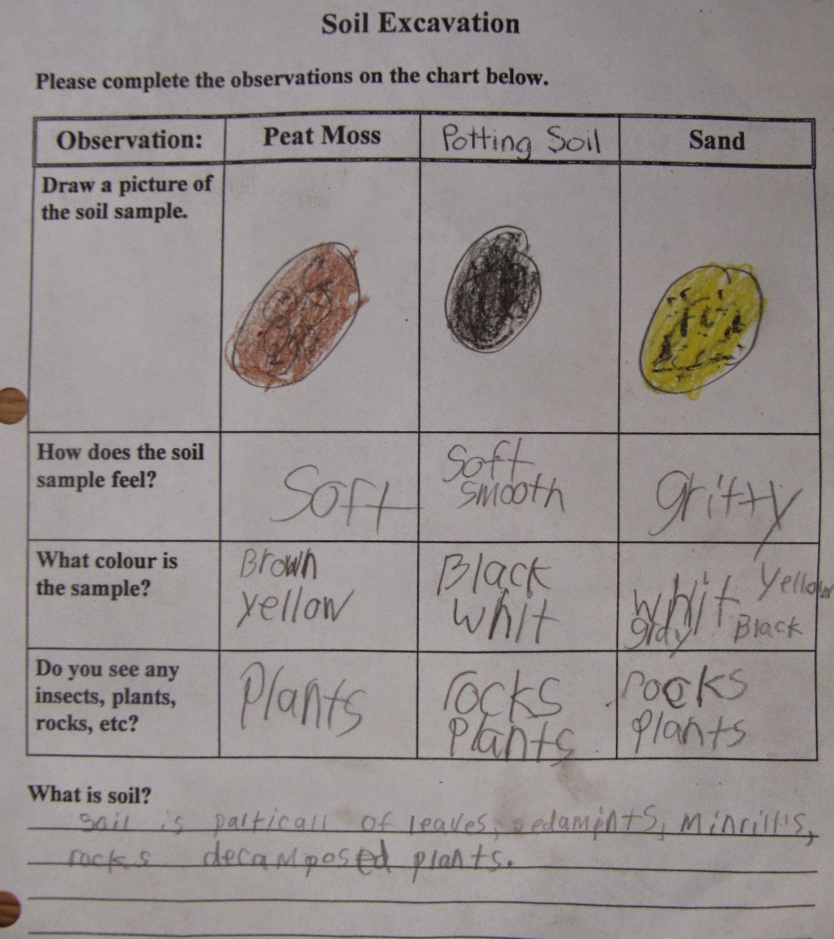 Mrs. Squire's Classroom: Soil Excavation