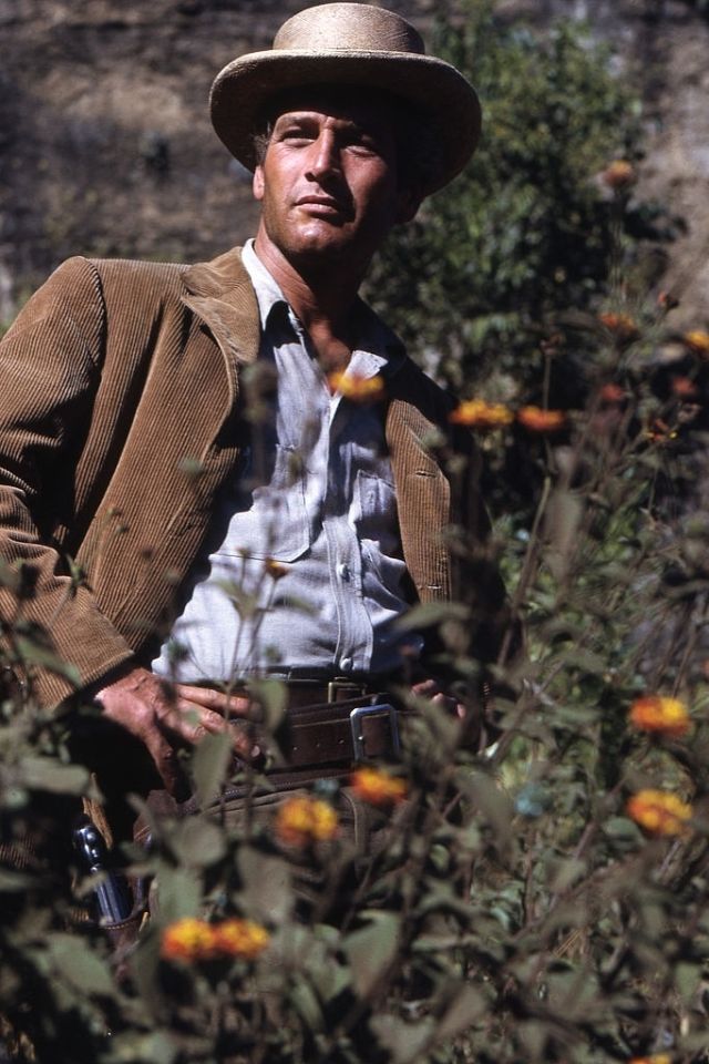 Vintage Color Photos of a Handsome Paul Newman in the 1960s ~ Vintage ...