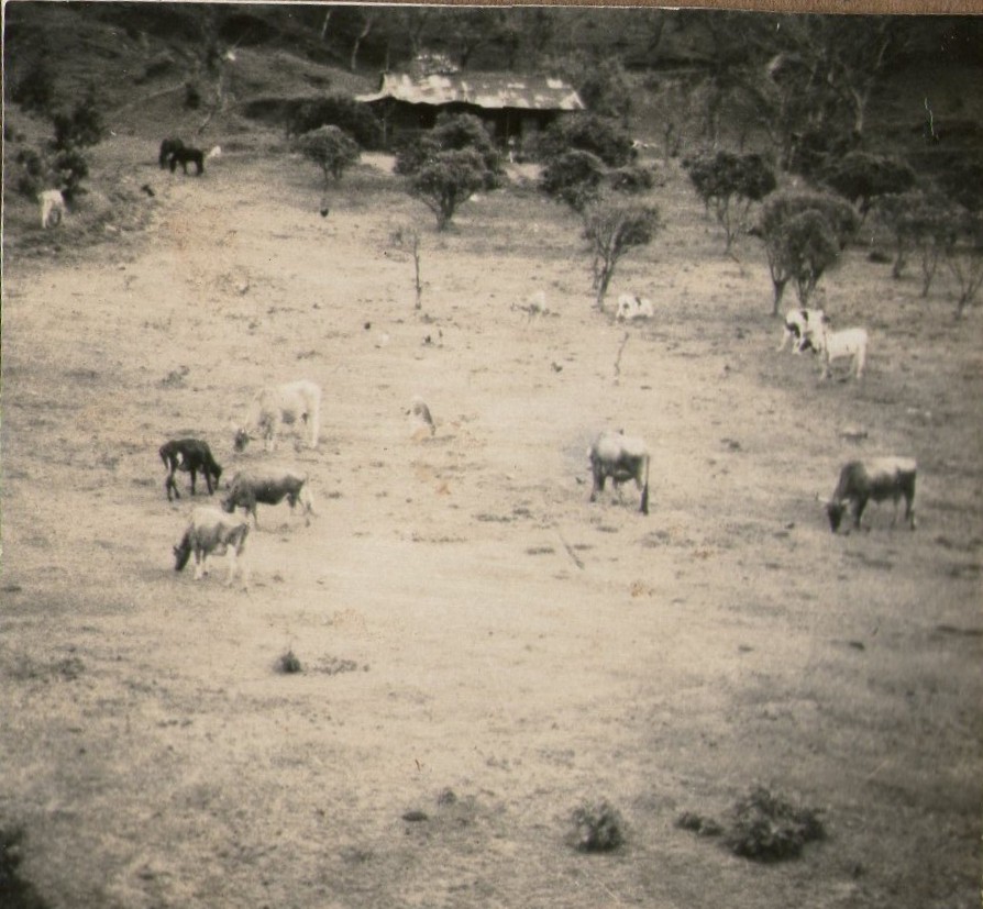 Río Azul, La Unión, Cartago, Costa Rica: Historia de Río Azul