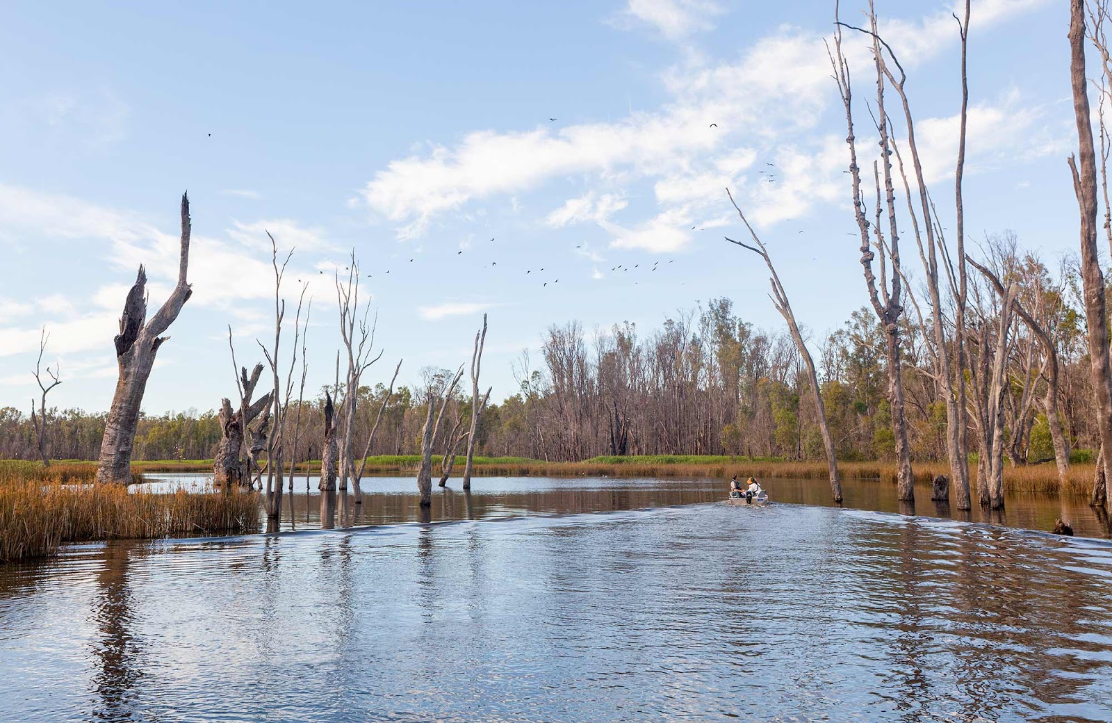Clancy Tucker's Blog: 4 January 2016 - 'GUNNEDAH HERO' - THE MOVIE