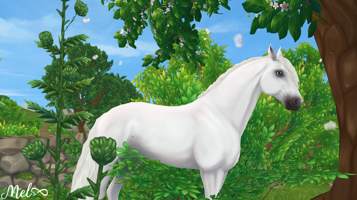 Star Stable Online Mel: Konie andaluzyjskie