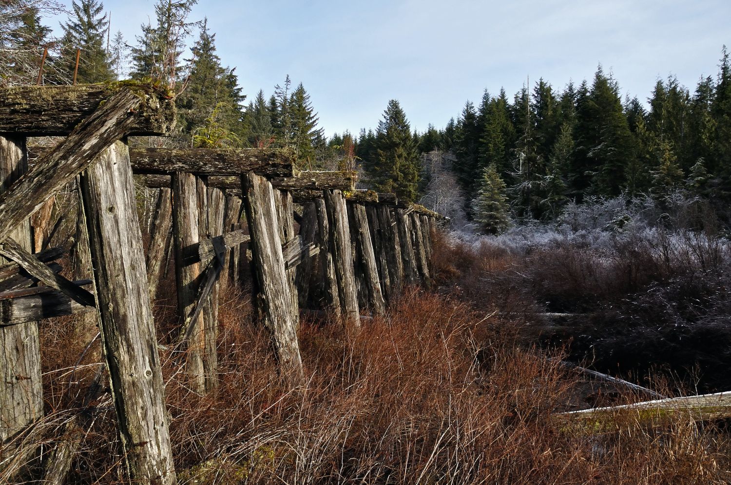 Shutterbugs Capturing the World Around Us: The old logging trestle ...