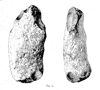 Manospondylus: Solved and Unsolved Fossil Enigmas - Part 2